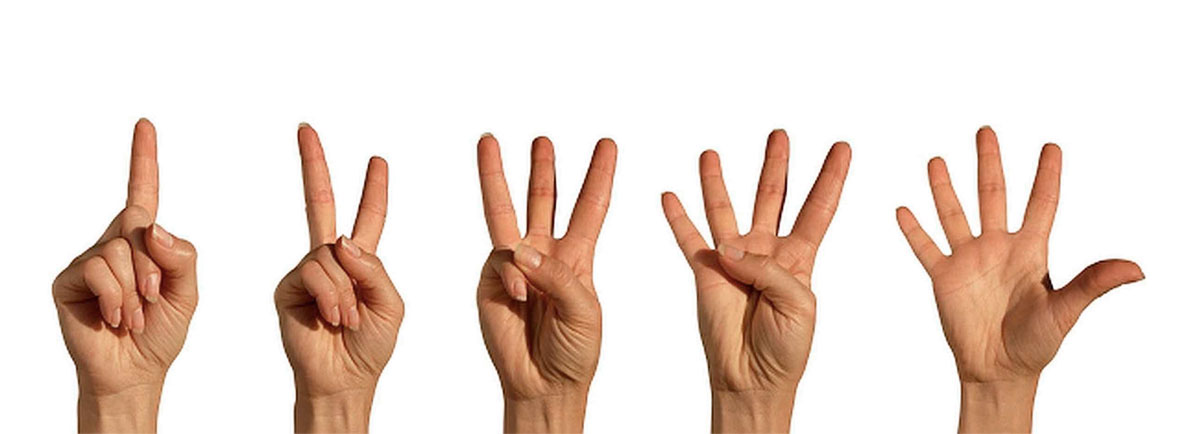 Lesiones en las falanges de los dedos de la mano - Dr. Esteban Castro ...